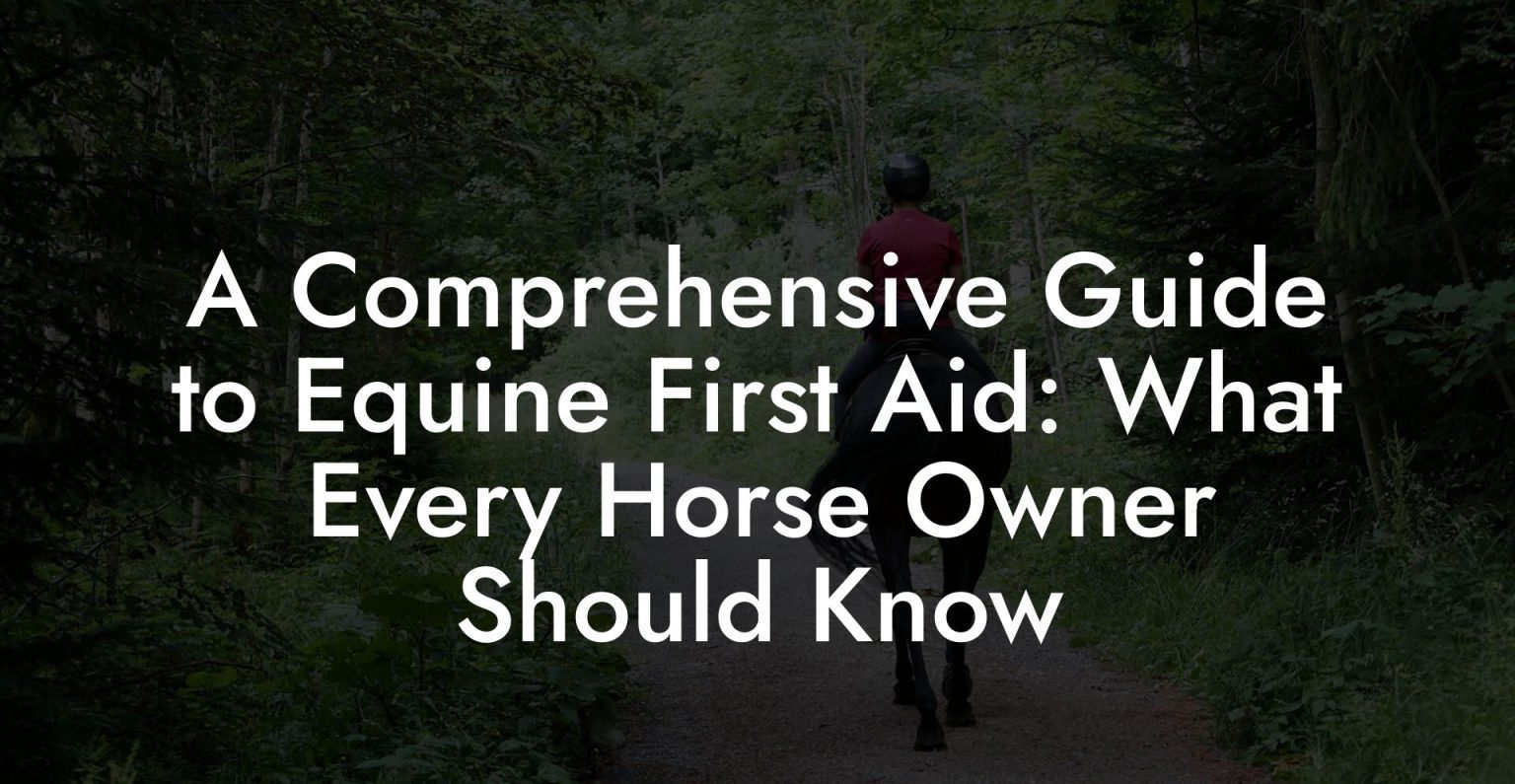 A Comprehensive Guide to Equine First Aid: What Every Horse Owner ...