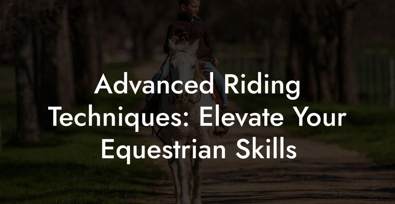 Advanced Riding Techniques: Elevate Your Equestrian Skills - How To Own ...
