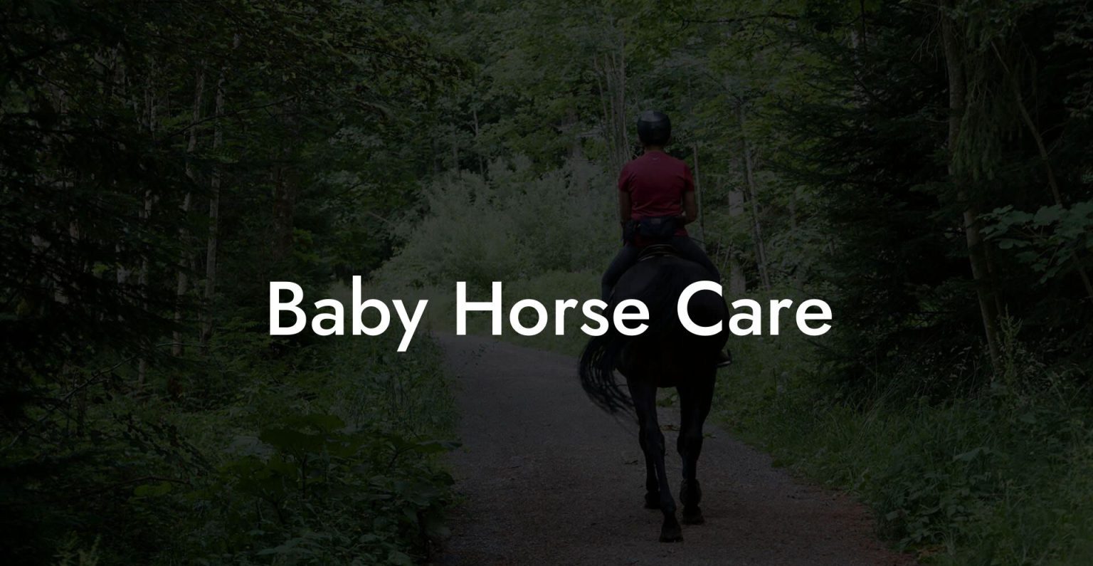 What Type Of Horse Is Raven From Free Rein - How To Own a Horse