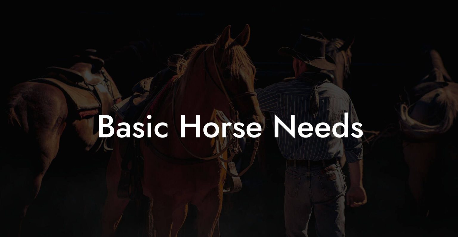 Basic Horse Needs - How To Own a Horse