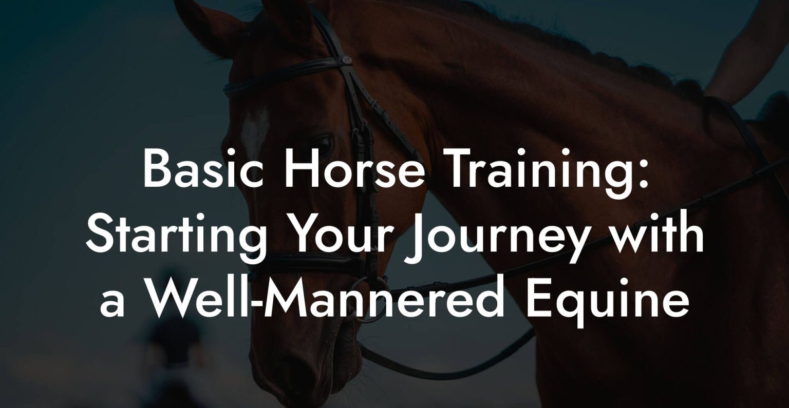 Basic Horse Training: Starting Your Journey with a Well-Mannered Equine ...