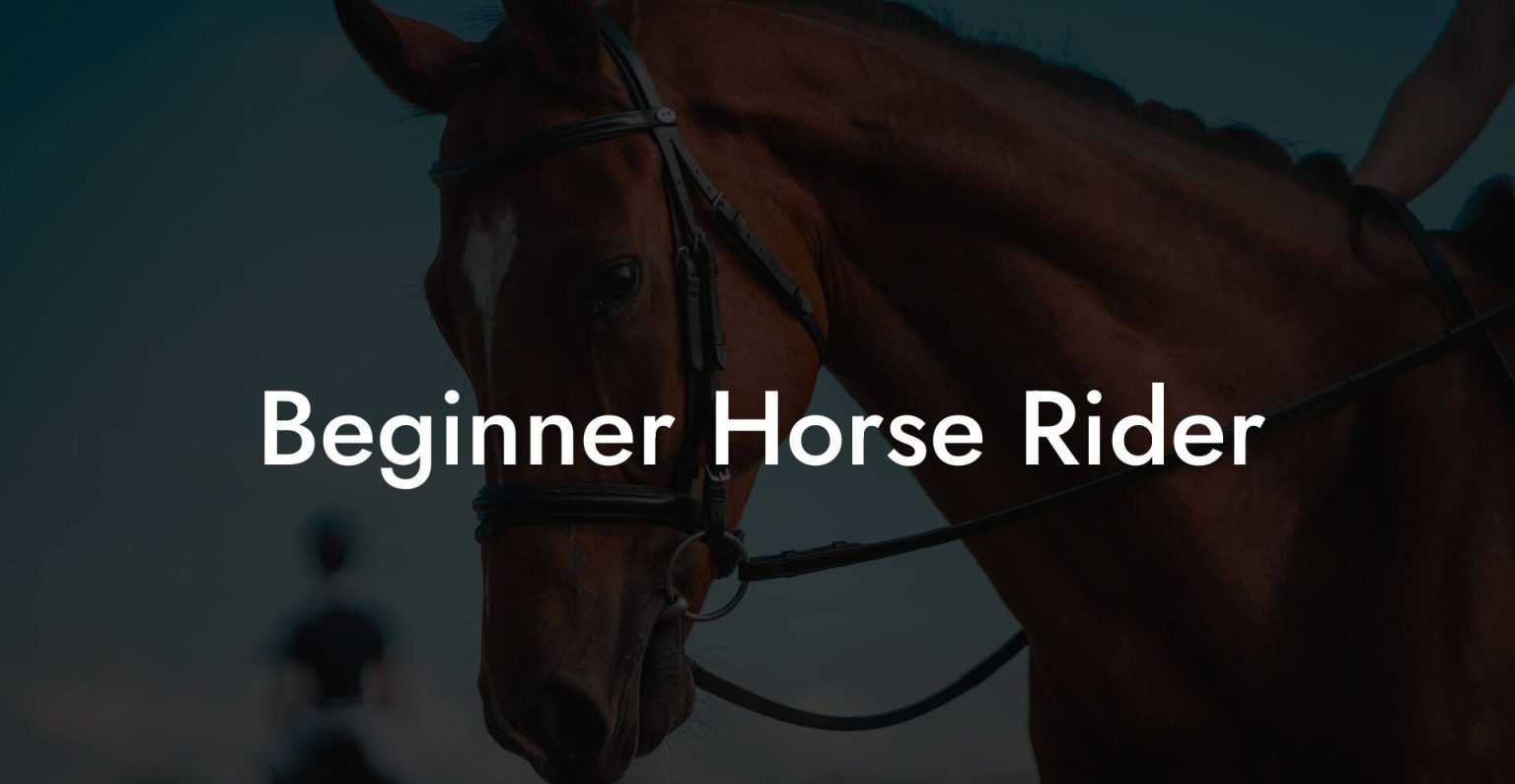 Beginner Horse Rider - How To Own a Horse