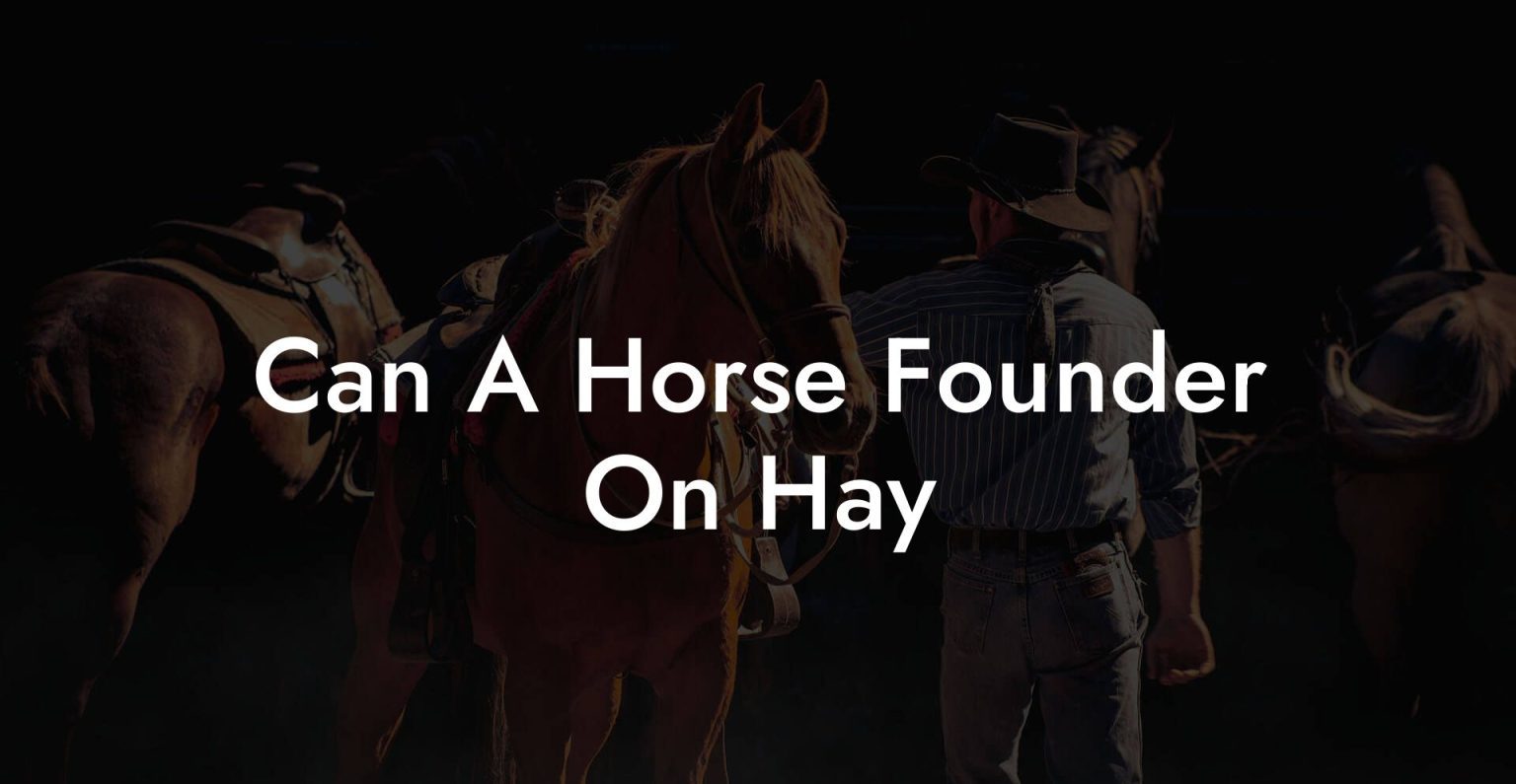Can A Horse Founder On Hay - How To Own a Horse