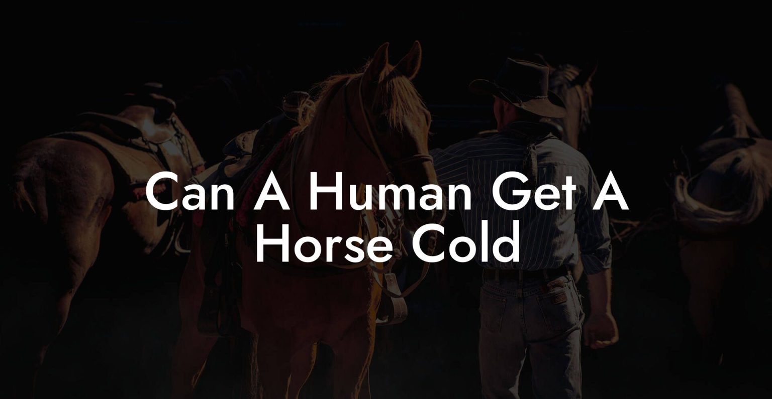What Is A Horse Corral - How To Own a Horse