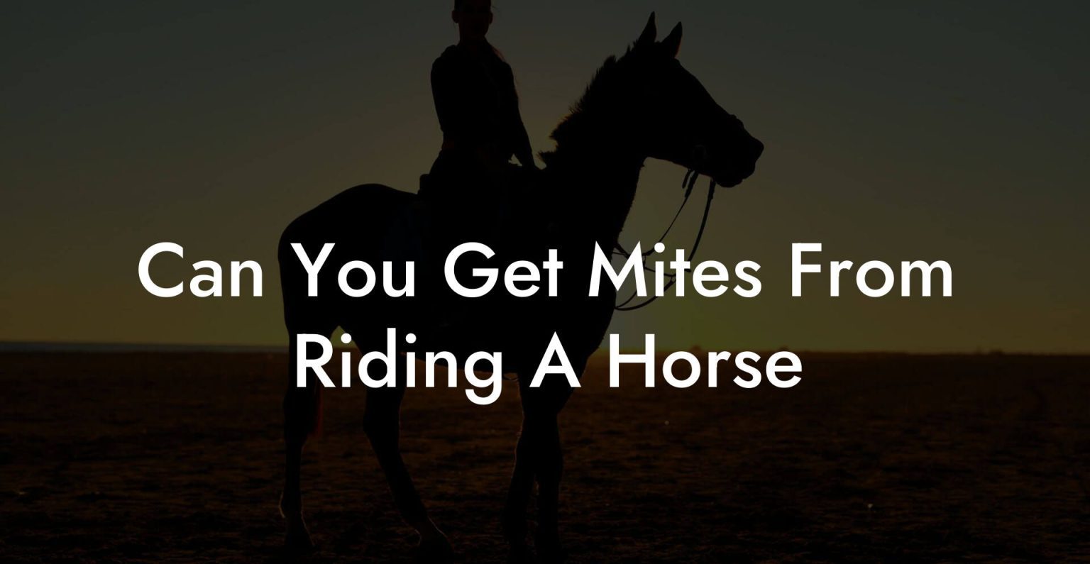 How To Measure Horse In Hands - How To Own a Horse
