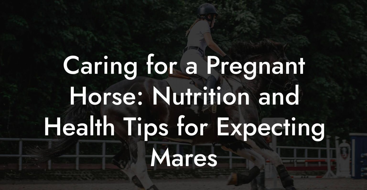 Caring for a Pregnant Horse: Nutrition and Health Tips for Expecting ...