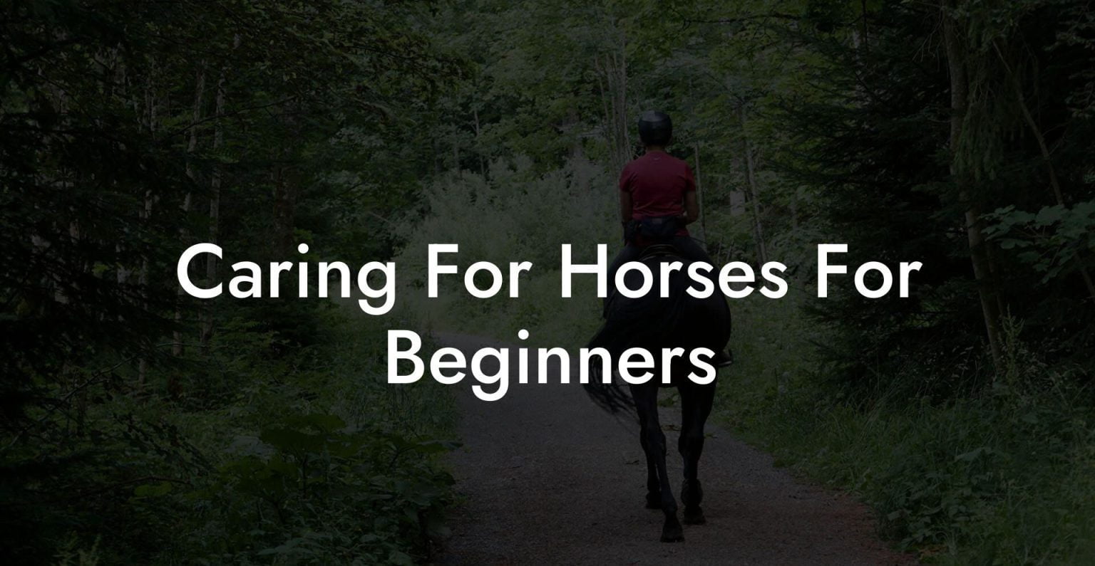 Caring For Horses For Beginners - How To Own a Horse