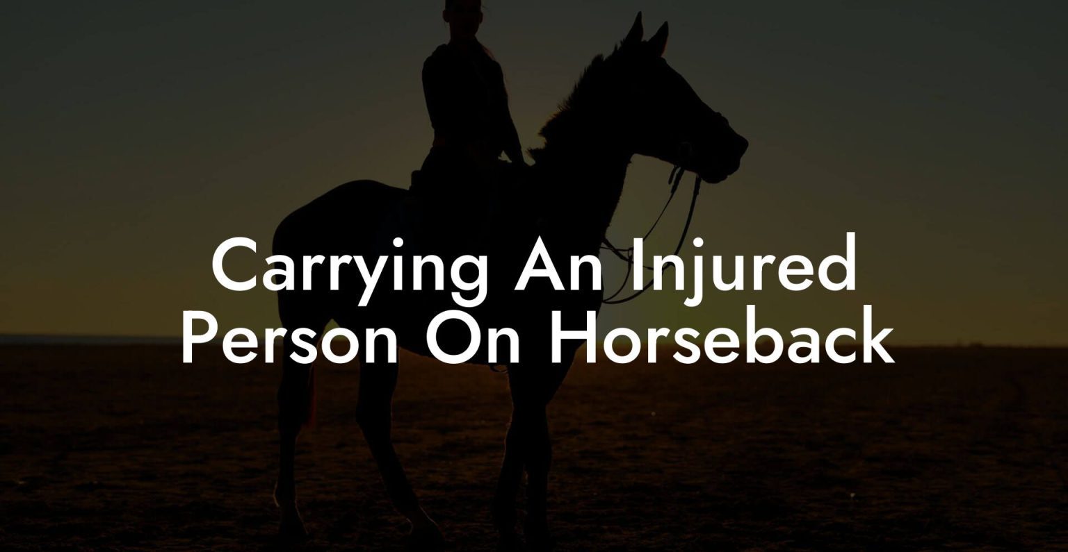 Carrying An Injured Person On Horseback - How To Own a Horse