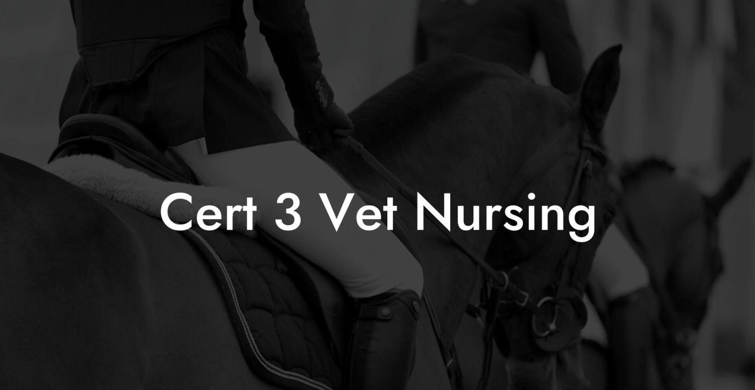 Cert 3 Vet Nursing - How To Own a Horse