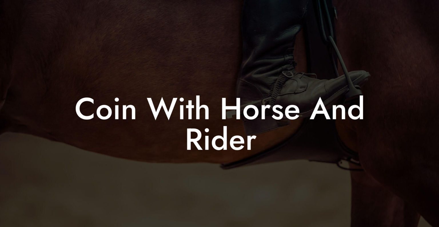 The Complete Guide To Owning Horses - How To Own a Horse