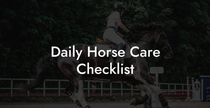 Daily Horse Care Checklist - How To Own a Horse