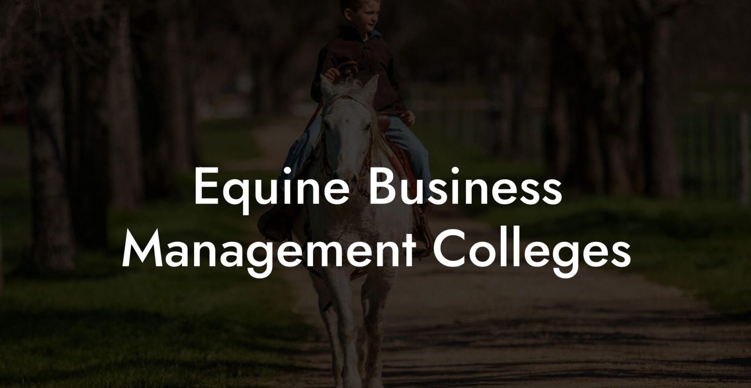 Equine Business Management Colleges - How To Own a Horse