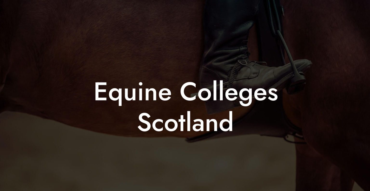 Equine Colleges Scotland - How To Own a Horse