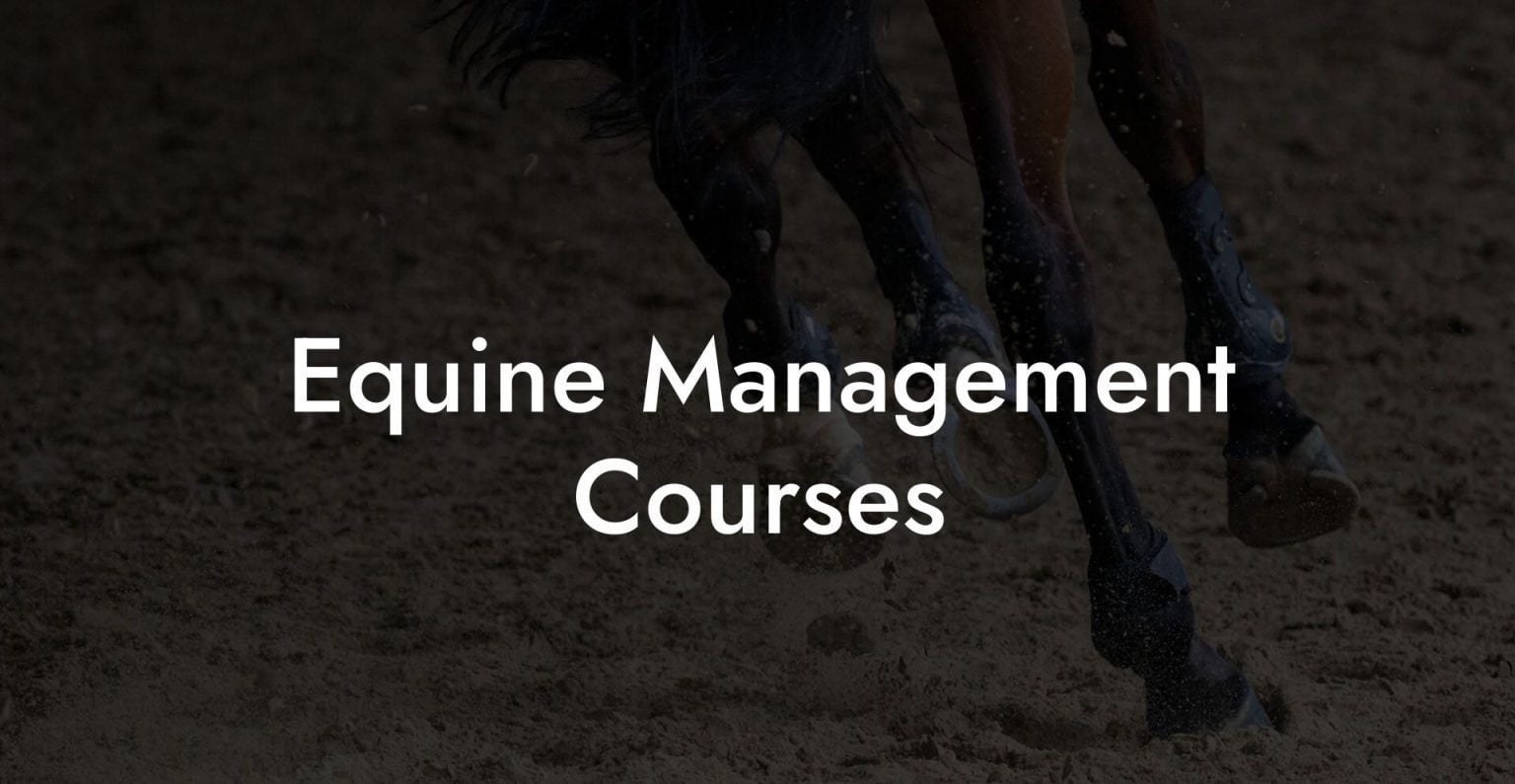 Equine Management Courses - How To Own a Horse