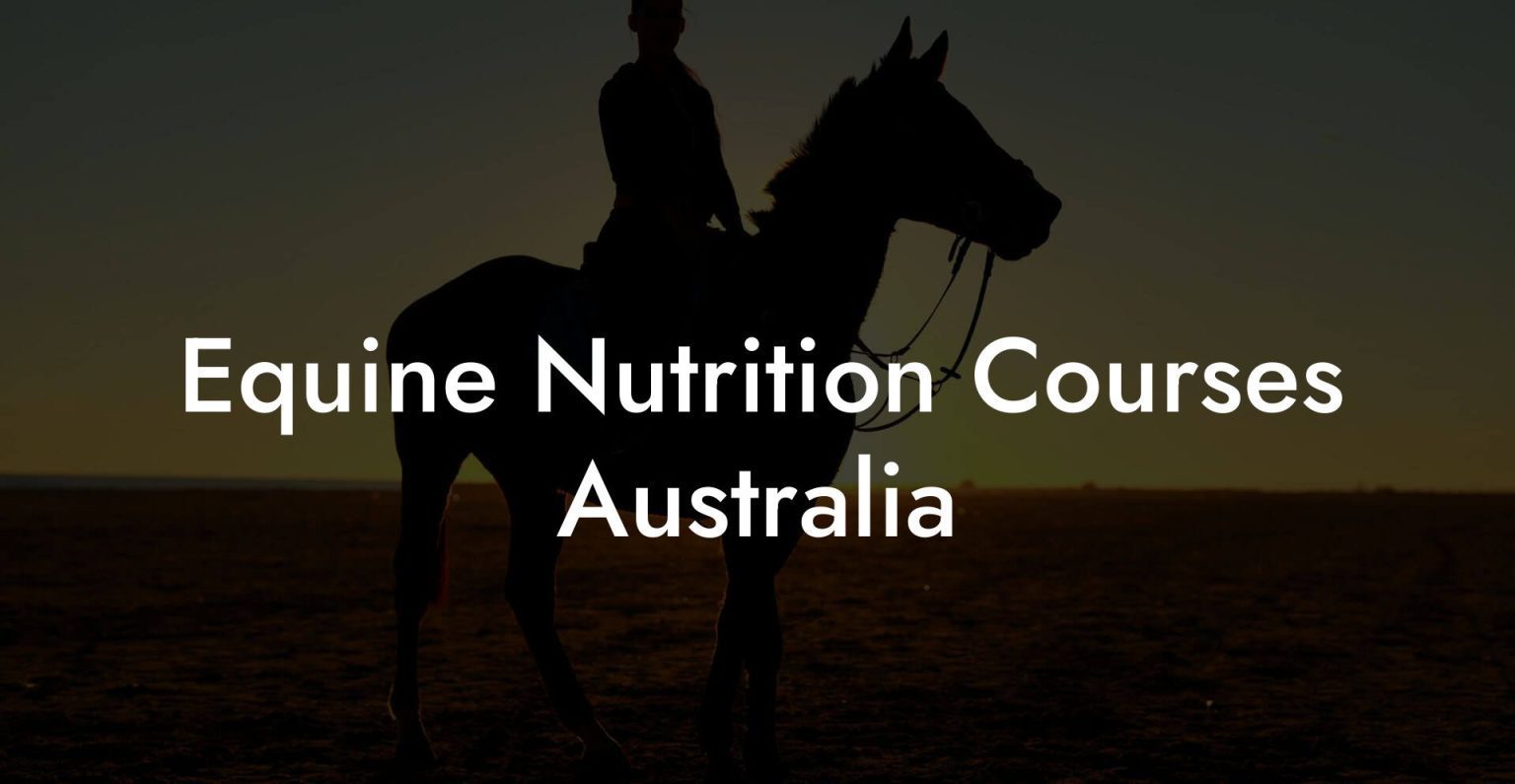 Equine Nutrition Courses Australia - How To Own a Horse