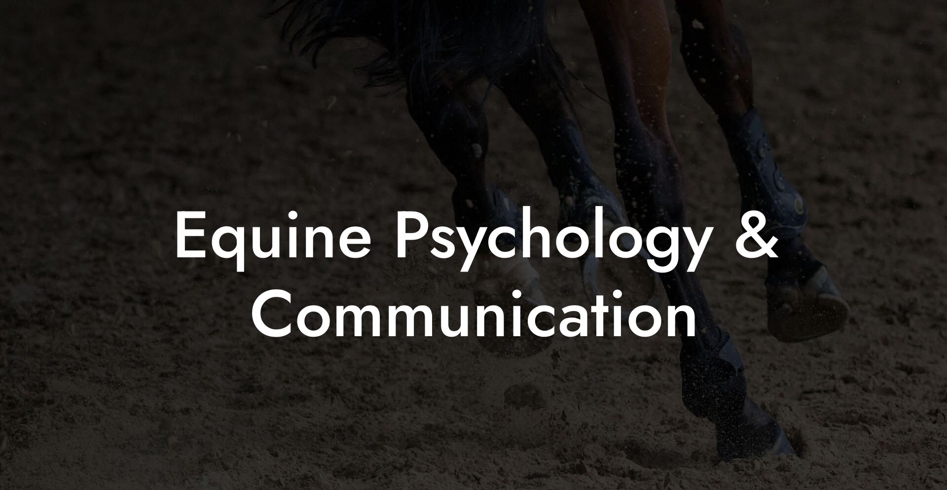 Equine Psychology & Communication - How To Own a Horse