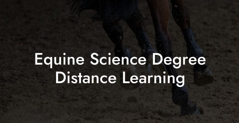Equine Science Degree Distance Learning - How To Own a Horse