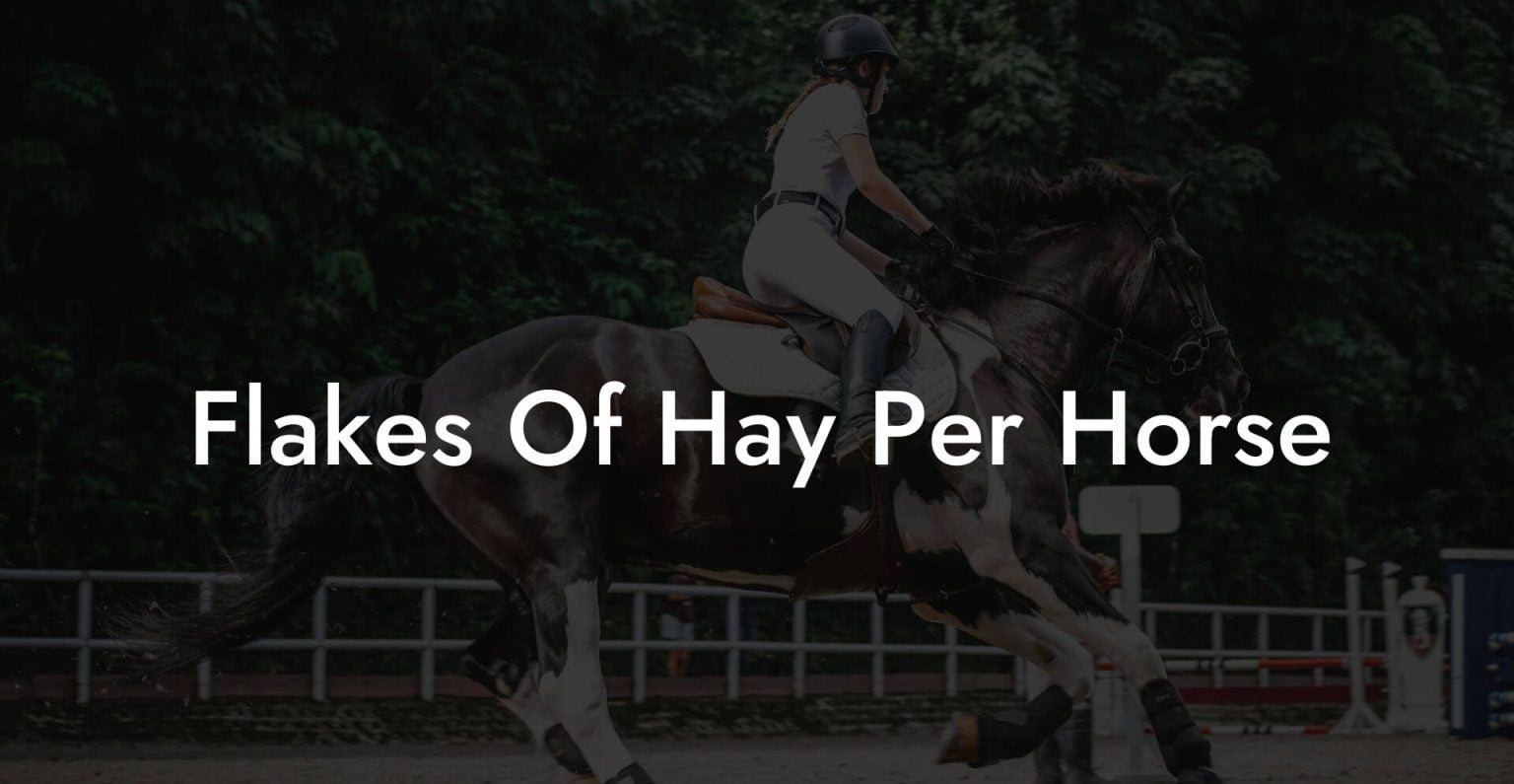 Flakes Of Hay Per Horse - How To Own a Horse