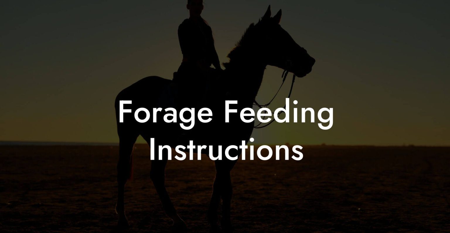 Forage Feeding Instructions - How To Own a Horse