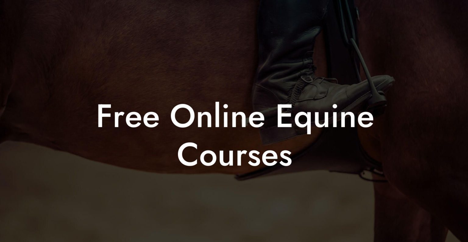 Free Online Equine Courses - How To Own a Horse