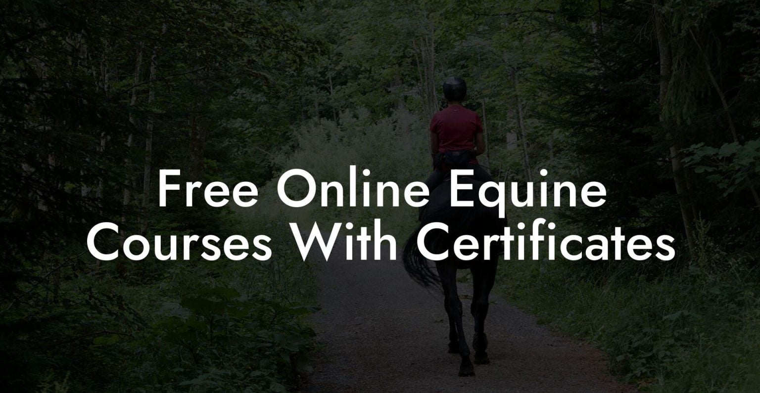 Free Online Equine Courses With Certificates - How To Own a Horse