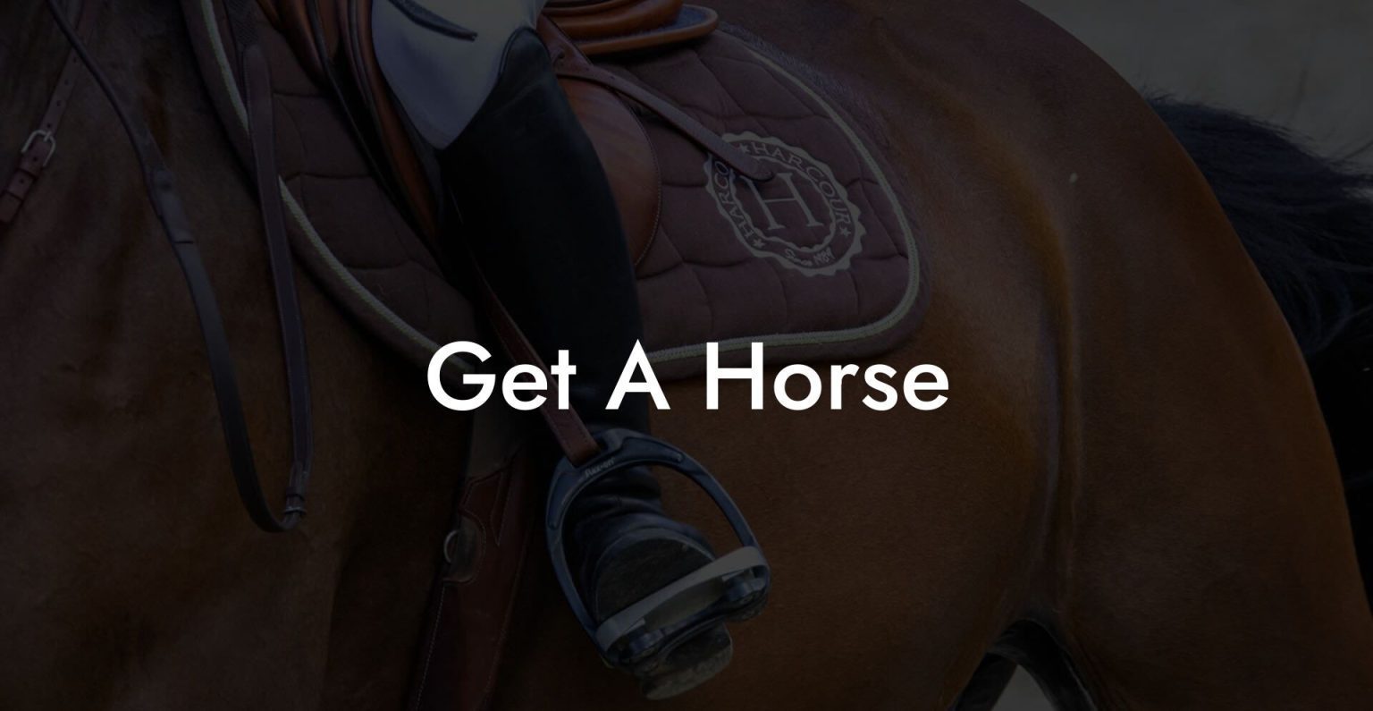 The Complete Guide To Owning Horses - How To Own a Horse