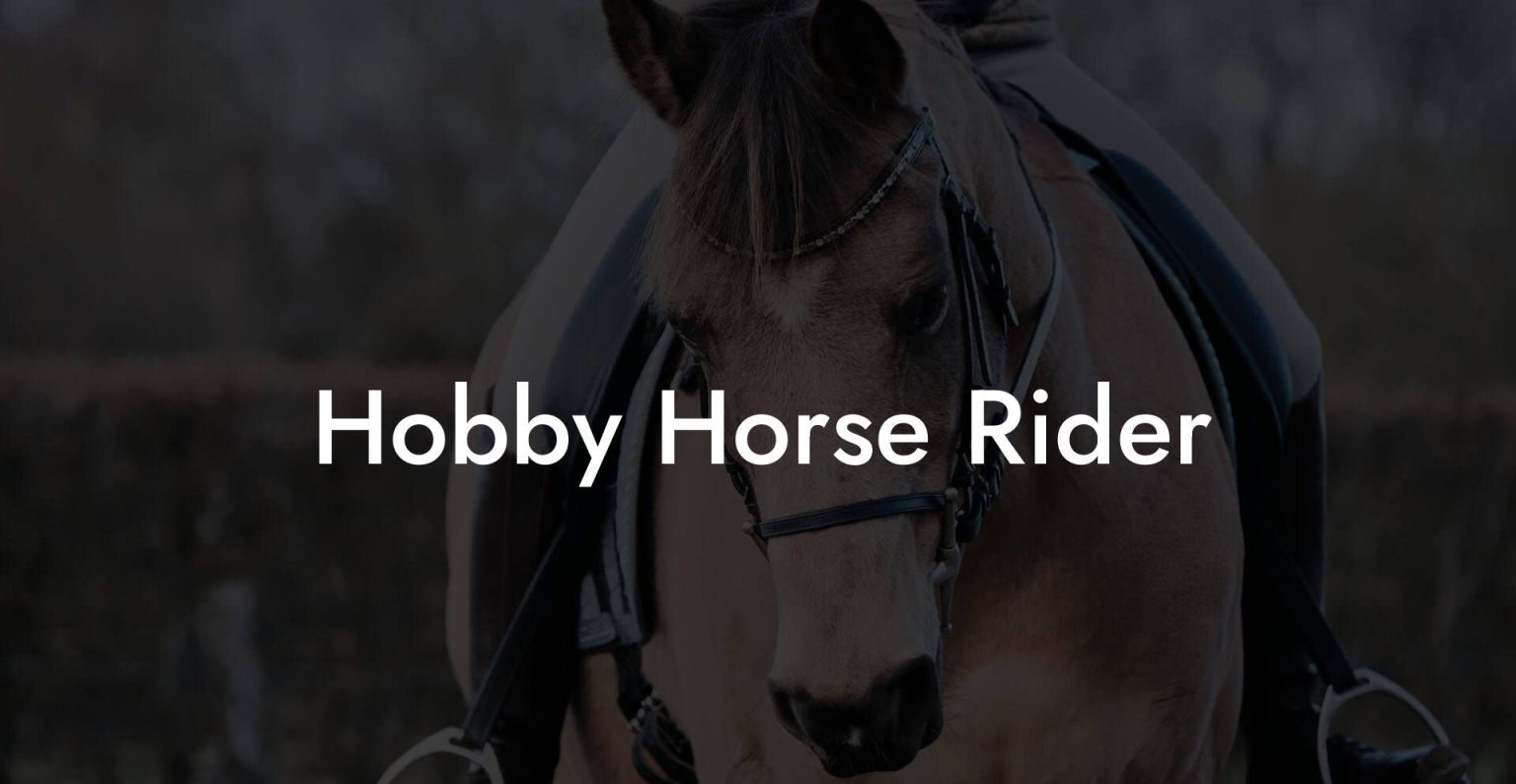 Hobby Horse Rider - How To Own a Horse