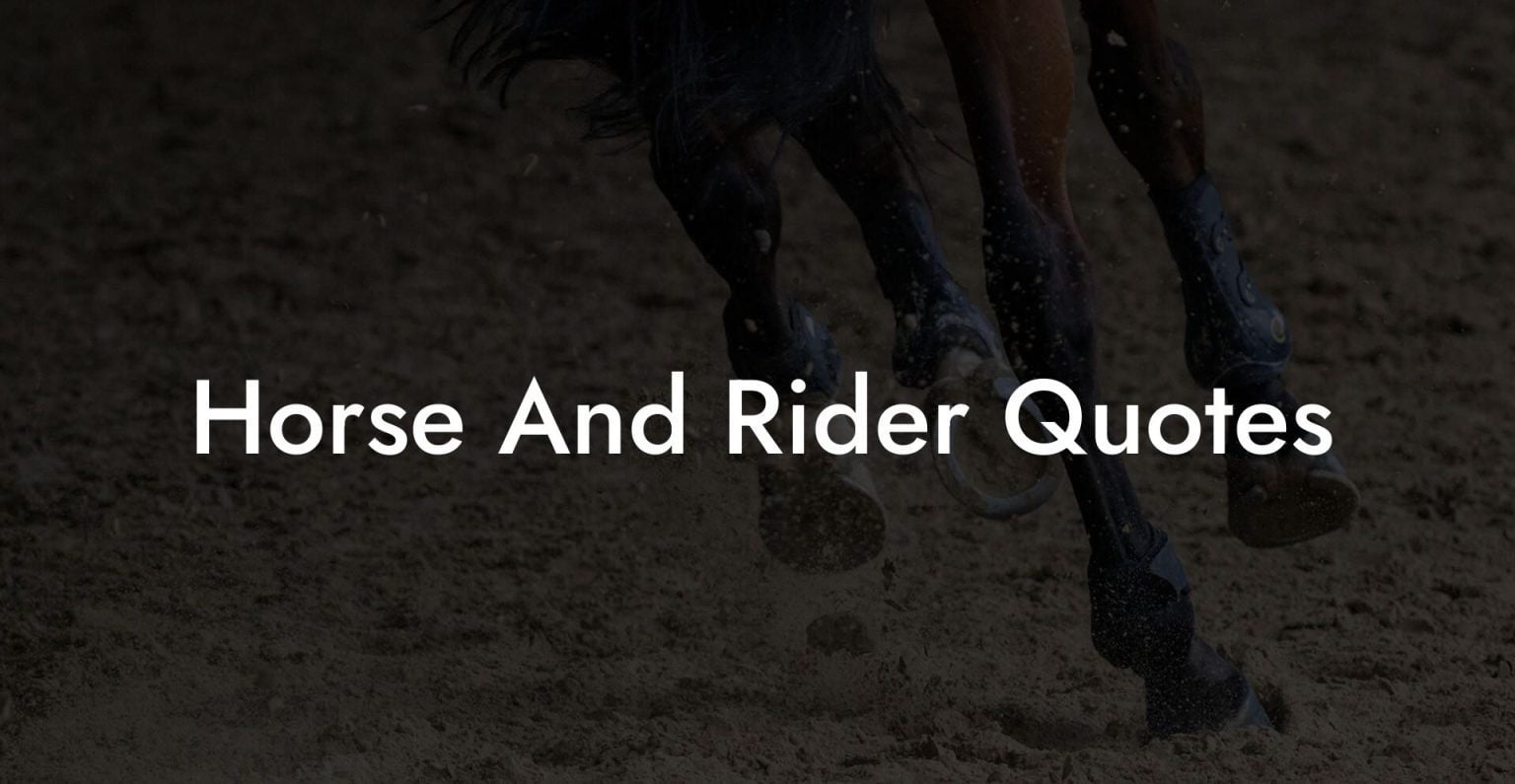 Horse And Rider Quotes - How To Own a Horse