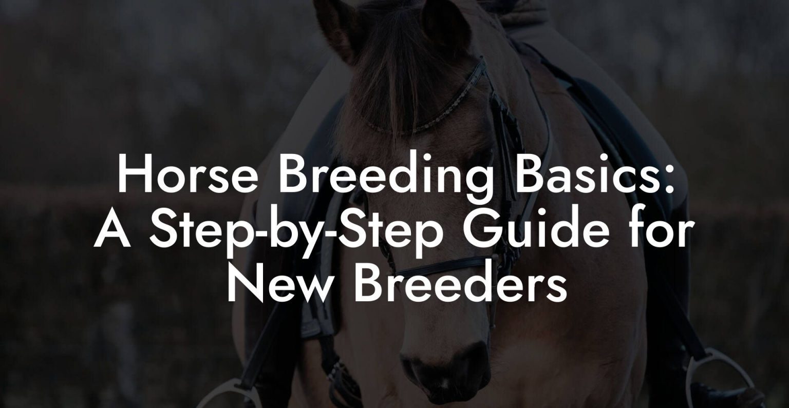 Horse Breeding Basics: A Step-by-Step Guide for New Breeders - How To Own a Horse