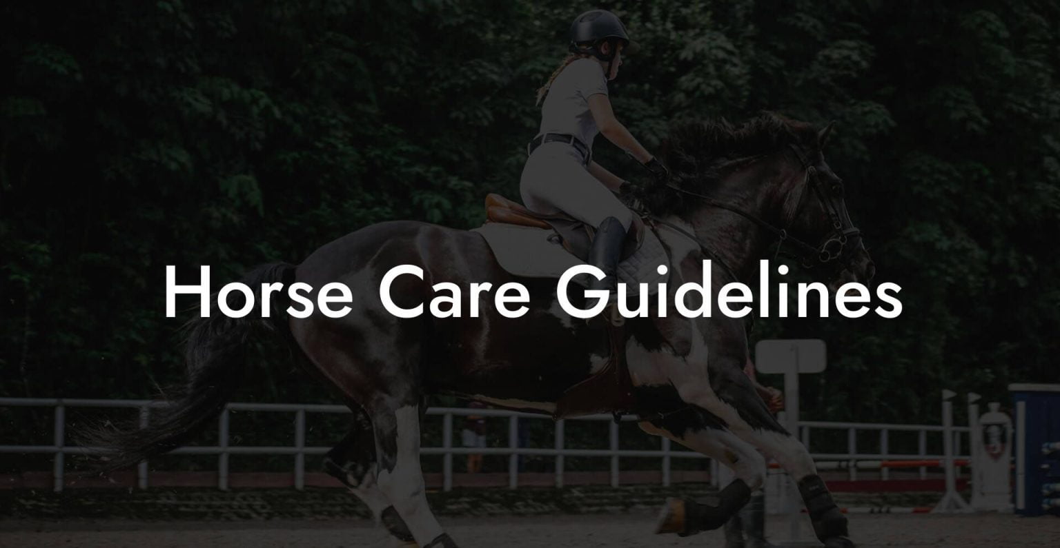 Horse Care Guidelines - How To Own a Horse