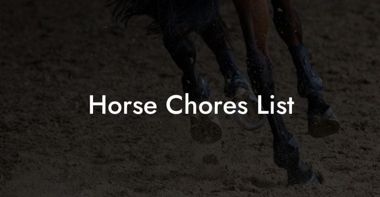 Horse Chores List - How To Own a Horse