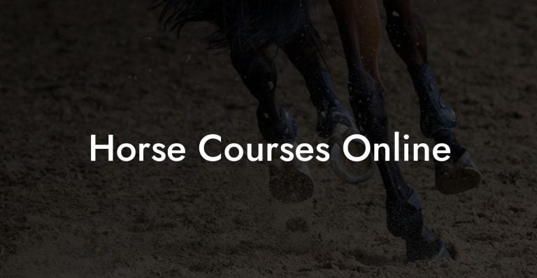 Horse Courses Online - How To Own a Horse
