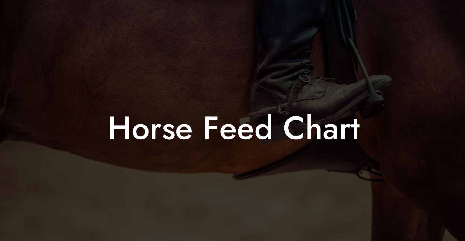 Horse Feed Chart - How To Own a Horse