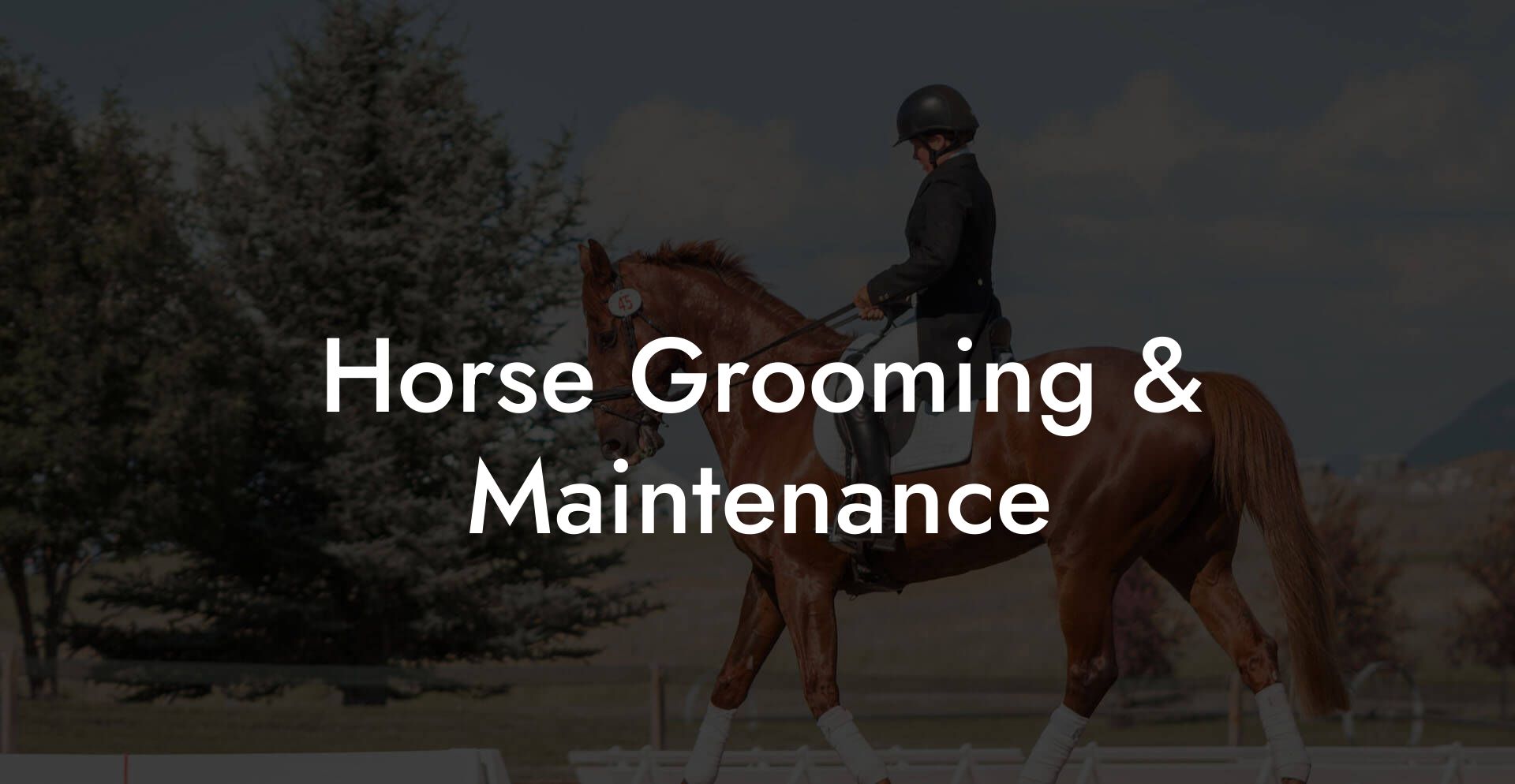 Horse Grooming & Maintenance - How To Own a Horse