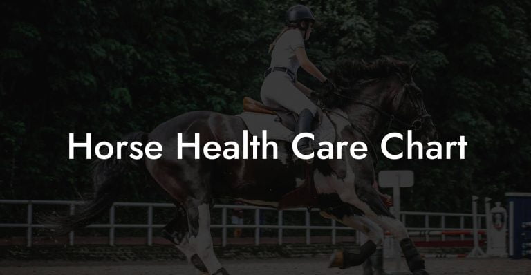 Horse Health Care Chart - How To Own a Horse