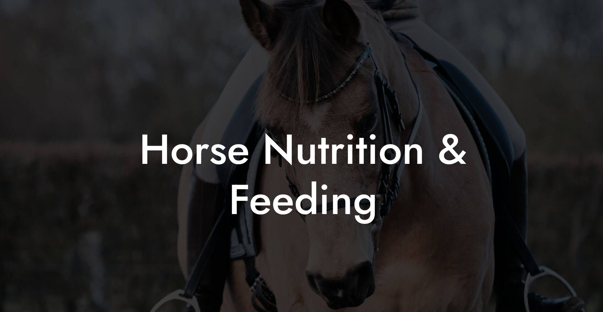 Horse Nutrition & Feeding - How To Own a Horse