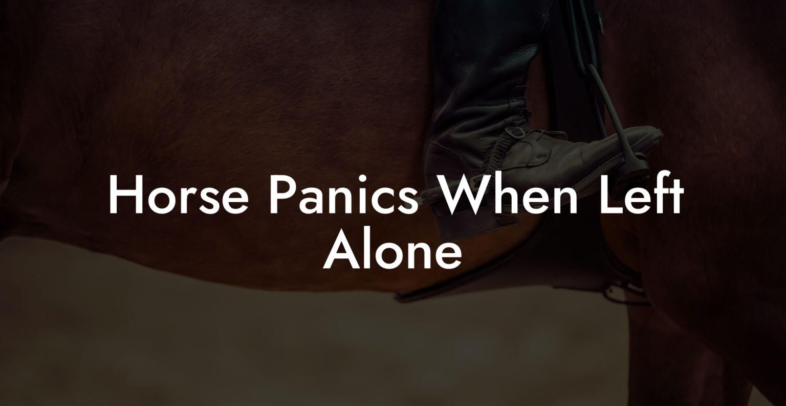 Horse Panics When Left Alone - How To Own a Horse