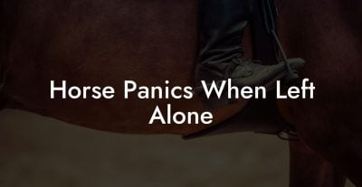 Horse Panics When Left Alone - How To Own a Horse