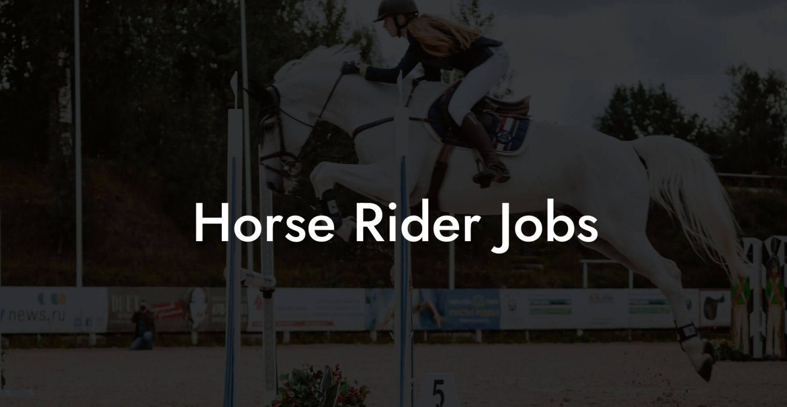 How To Lope A Horse - How To Own a Horse