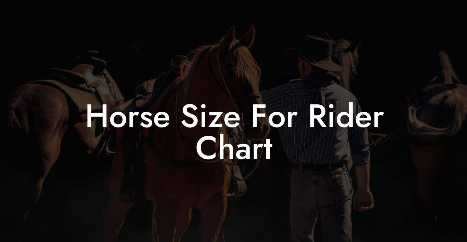 Horse Size For Rider Chart - How To Own a Horse