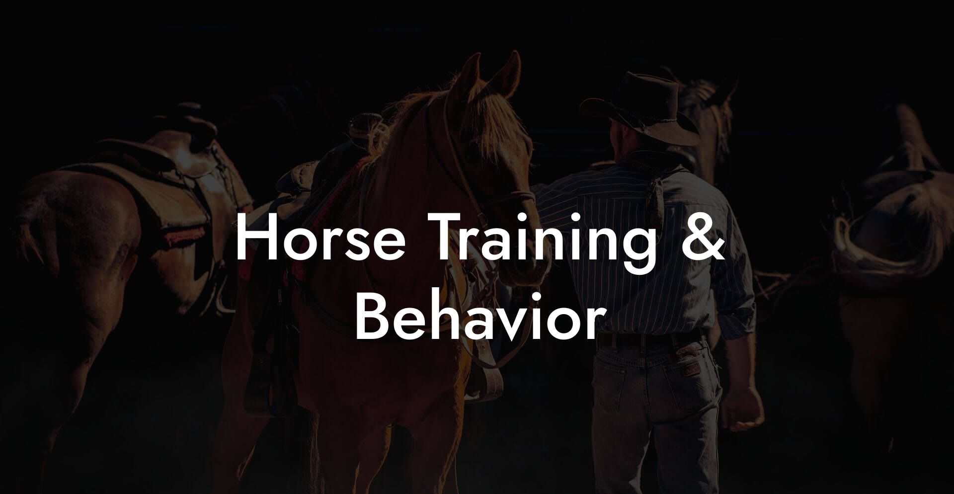 Horse Training & Behavior - How To Own a Horse