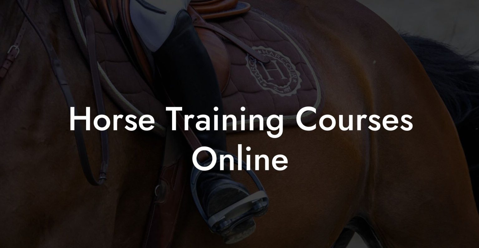 Horse Training Courses Online - How To Own a Horse