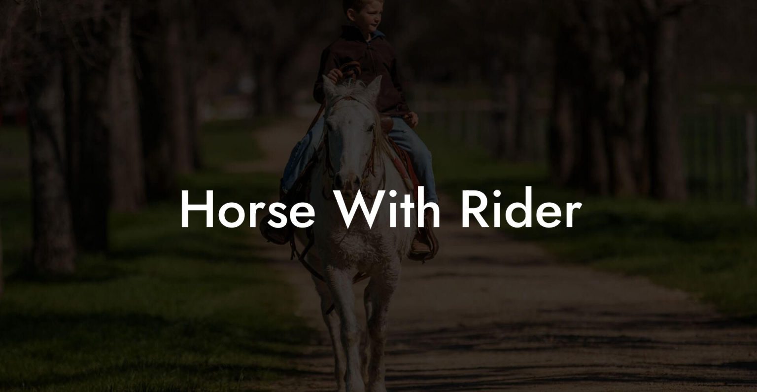 How To Lope A Horse - How To Own a Horse