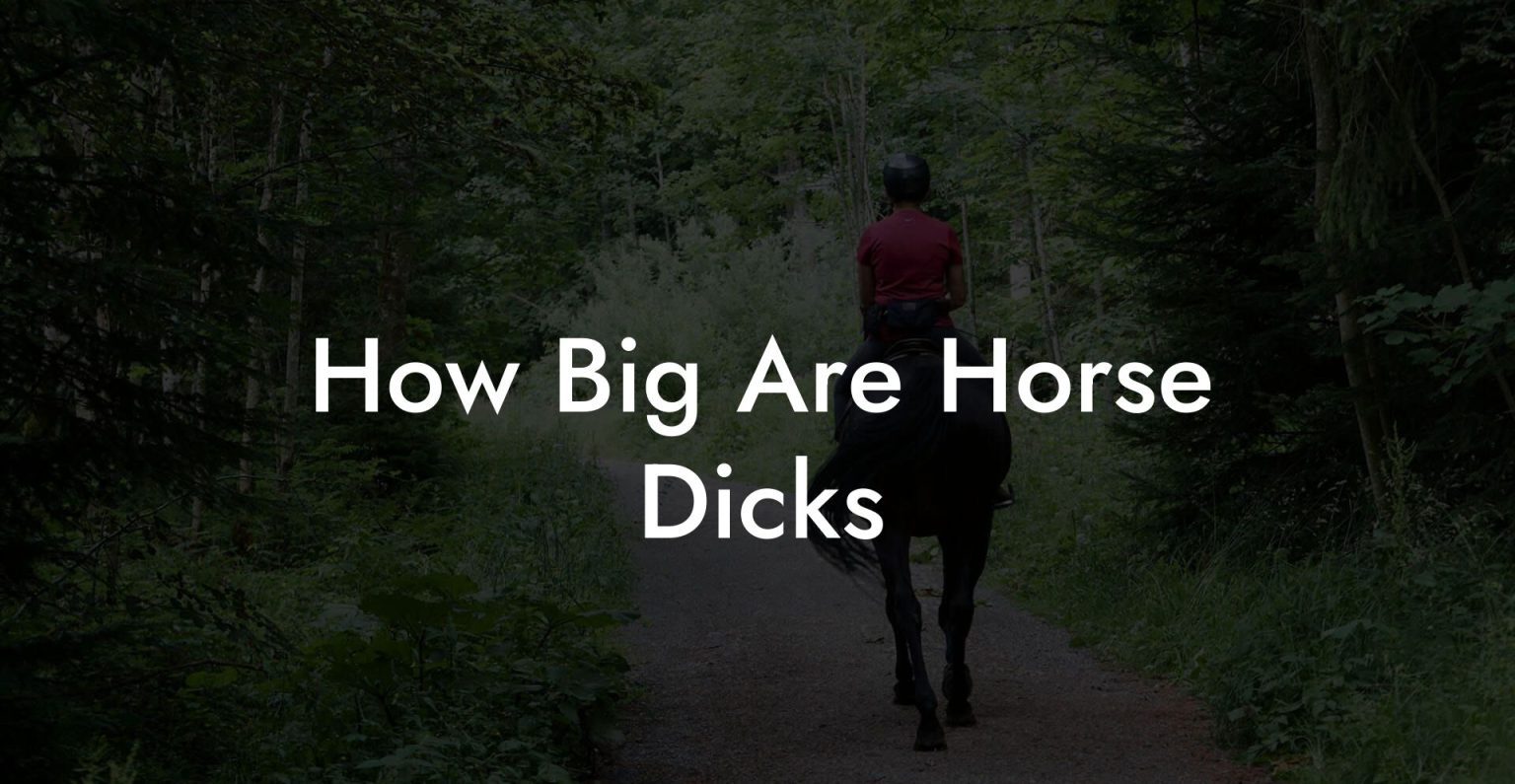 How Big Are Horse Dicks - How To Own a Horse