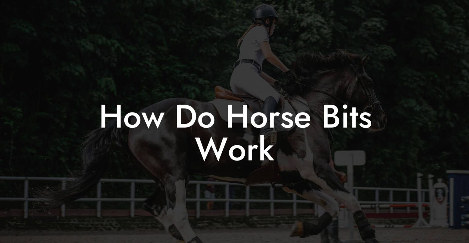 How Do Horse Bits Work - How To Own a Horse