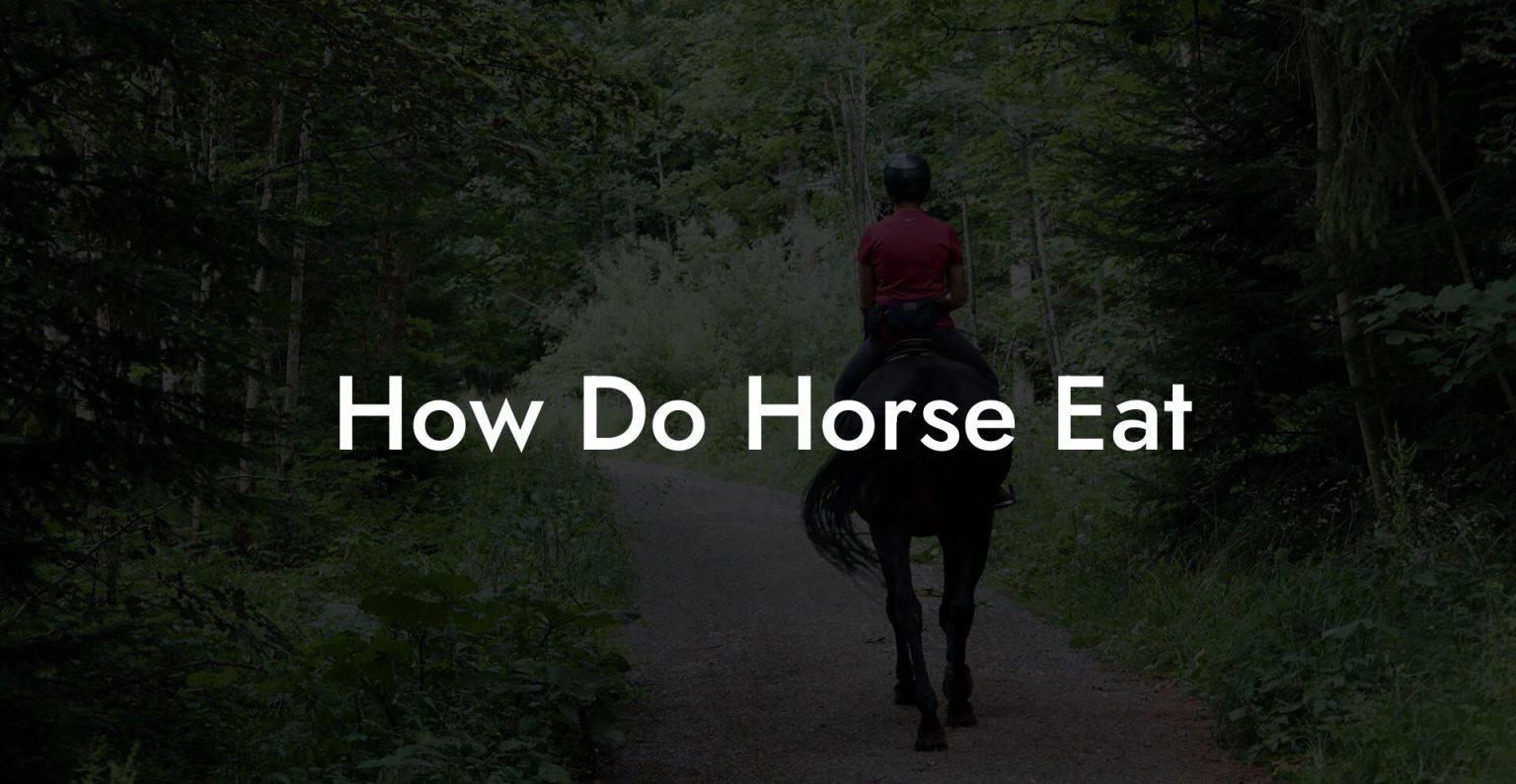How Do Horse Eat - How To Own a Horse