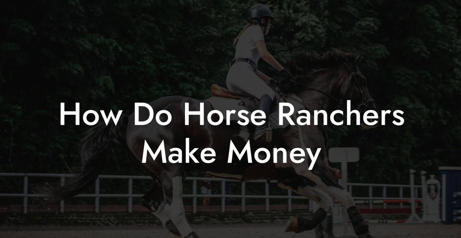 How Do Horse Ranchers Make Money - How To Own a Horse