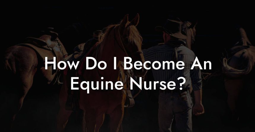 What Is Gelding A Horse Mean - How To Own a Horse