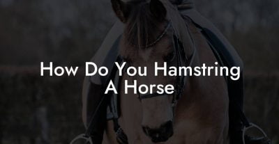 How Do You Hamstring A Horse - How To Own a Horse