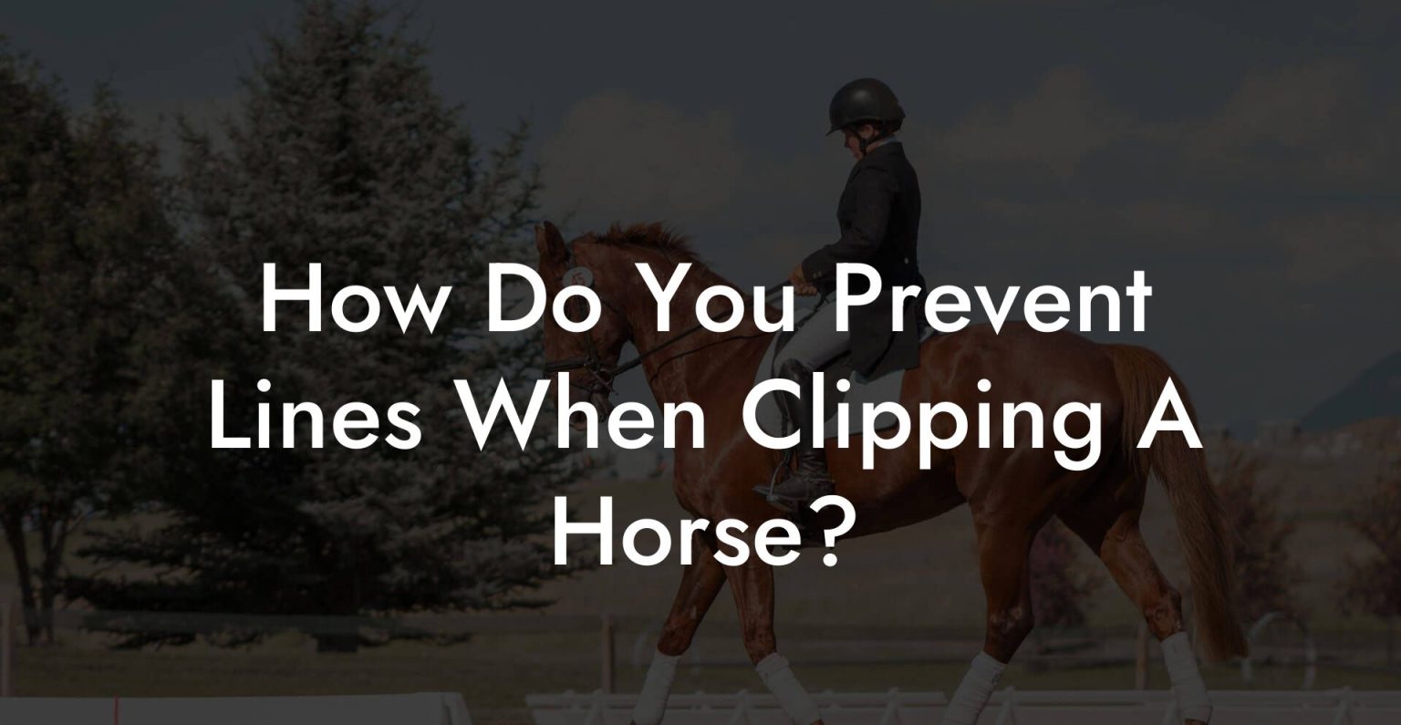 How Do You Prevent Lines When Clipping A Horse? - How To Own a Horse